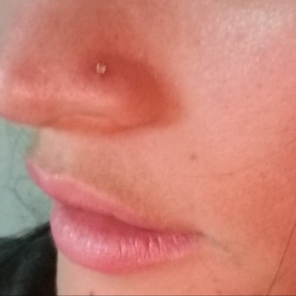 14K Solid Rose Gold Labret Style Nose Ring Monroe Stud Threadless Push ...