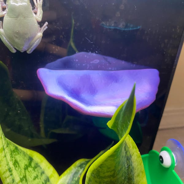 Frog and Gecko Hanging Mushroom Platform - Etsy