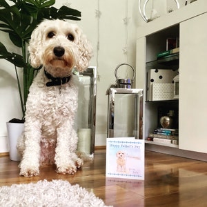 Football Retirement Card Football Chelsea Liverpool | Etsy UK