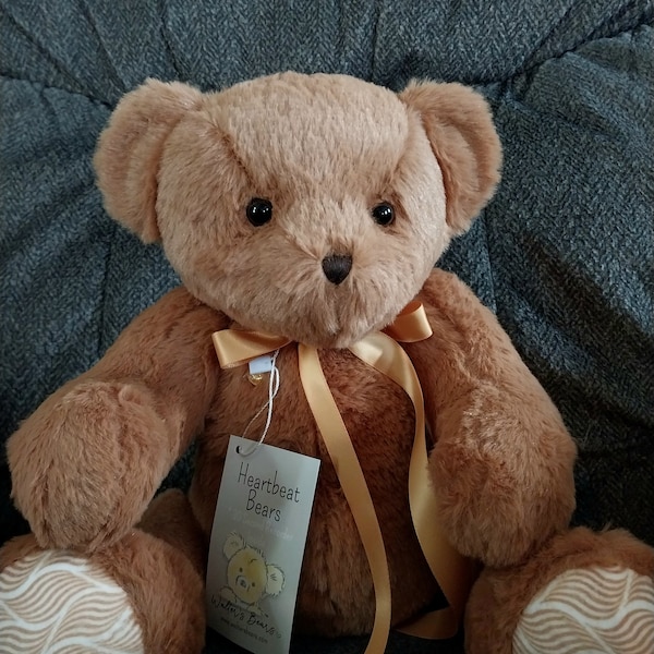 Voice Recording Teddy Bear, Personalized Plush Keepsake Gift, up to 30 ...