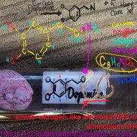 Serotonin Brain Float Pens / Dopamine / ADHD / Neurodivergent / Custom Pens / Cute Pens ...