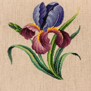 Cross Stitch Pattern Sampler Dragon Cross Stitch Pattern | Etsy