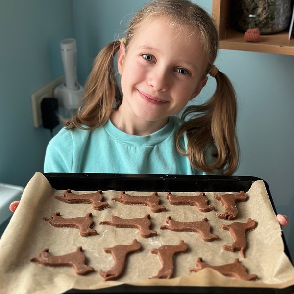 Cute Axolotl Cookie Cutter, Axolotl Gifts, Gift for Mom, Reptile ...