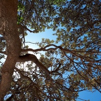 The Human Nervous System, Fight or Flight Response, Human Brain Anatomy ...