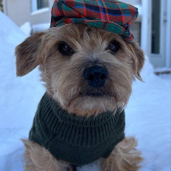 Balmoral Bonnet Dog Hat, Dog Hat, Caubeen Dog Hat, Dog Cap, Dog Bonnet ...