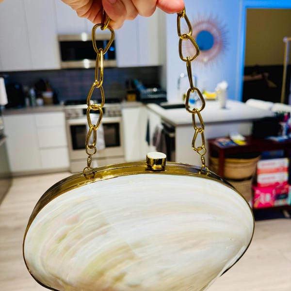 Natural Handcrafted Clam Sea Shell Inlaid Brass Clutch Bag, Crossbody ...
