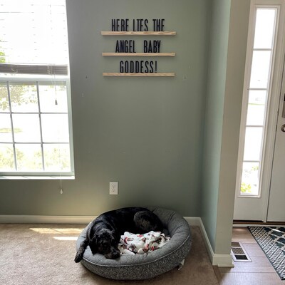 Letter Ledges Set Changeable Letter Board 24 Statement Shelves 189 ...