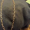 Sterling Silver Oval Rolo Chain, Sterling Silver Oval Belcher Chain ...