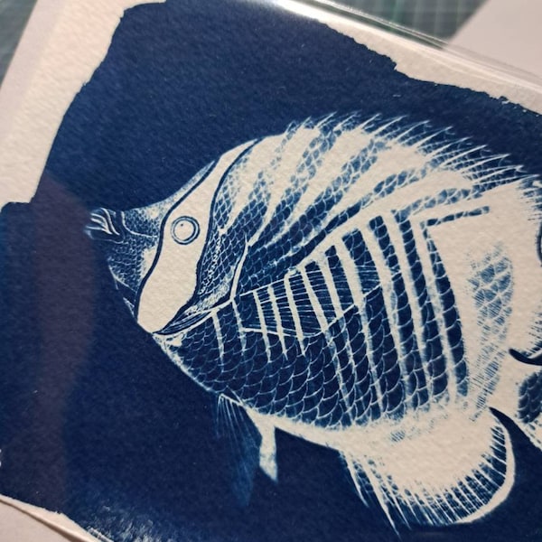 Cyanotype Stencils, Cyanotype Kit Just Stencils, Vintage Leaves ...