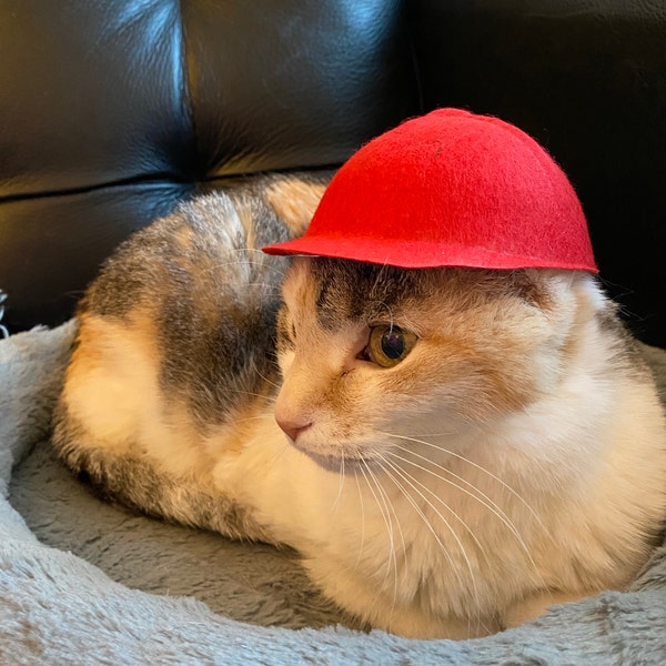 Big Red Baseball Cat Hat - Baseball Cap - Backwards Hat - Etsy