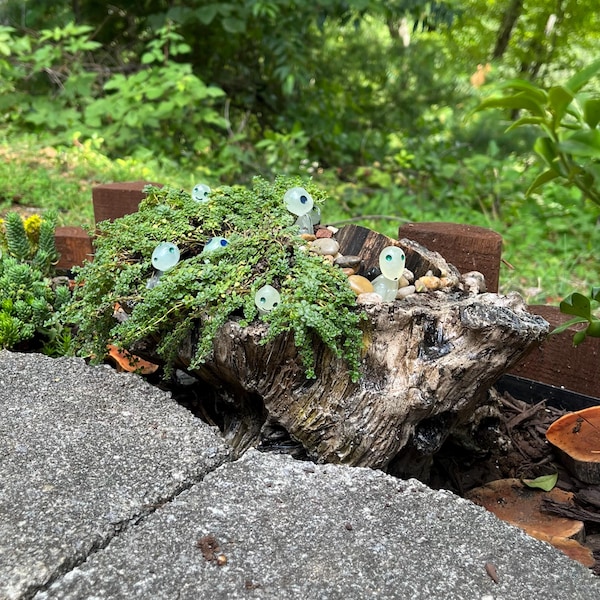 Tall Skinny Concrete Tree Stump Planter - Etsy