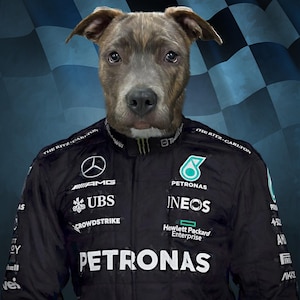 Mercydes, Formula Racing Car, Funny Pet Lover Gift, F1 Driver Team Pet ...