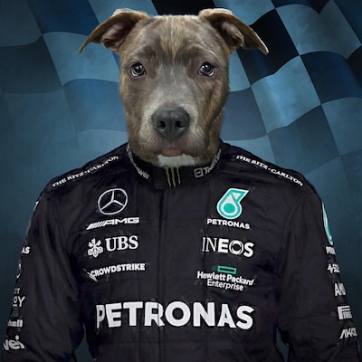 Mercydes, Formula Racing Car, Funny Pet Lover Gift, F1 Driver Team Pet ...
