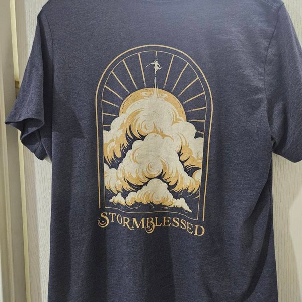 Stormlight Archive Shirt, Kaladin Stormblessed Shirt, Brandon Sanderson ...