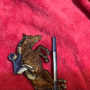 Peregrine Falconer Falconry Birds of Prey Embroidered | Etsy