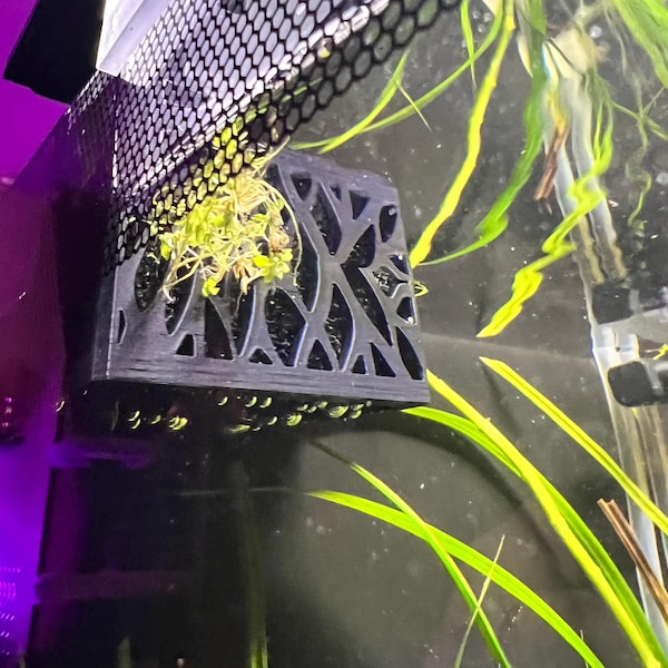 Finnex Stingray Original LED Light Riser, Attractive Stable Elevated ...