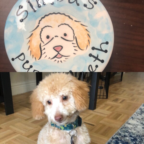 New Puppy Tooth Box / Puppy Teeth Box / Custom Pet Gift / Personalized ...