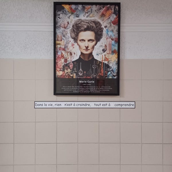 Printables - Famous Black Authors (10pcs) - Classroom Decor, Author ...