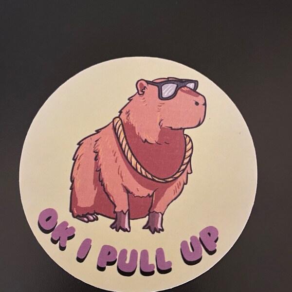 Born to Dilly Dally Forced to Lock in T-shirt, Cat Meme Shirt, Silly ...