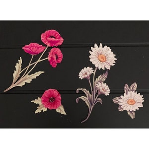 6 Pretty Rectangle Die Card Cut Outs Plus 1 Bonus Floral Card for ...