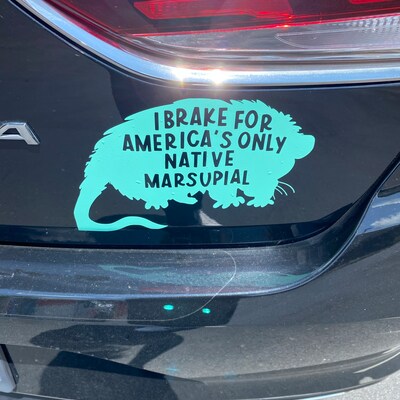 Possum Decal Opossum Marsupial Sticker - Etsy