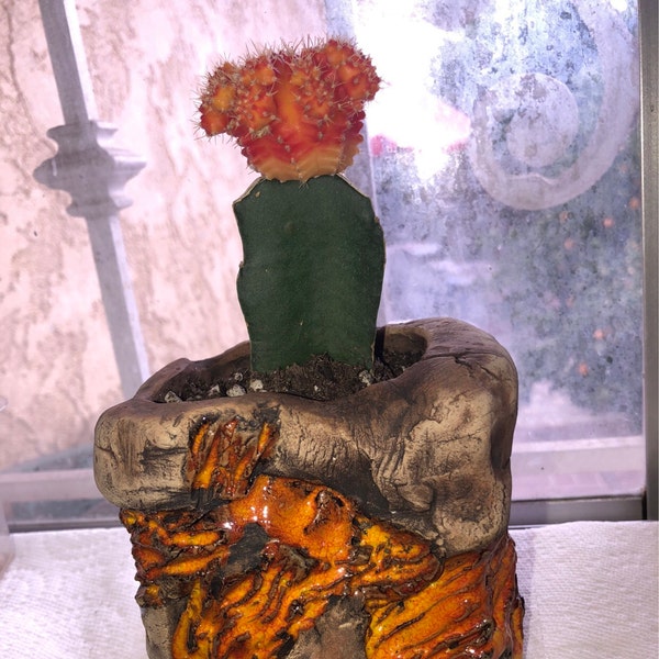 PINK JADE Raw Planter Pot With Drainage Hole Contemporary Ceramic Plant ...