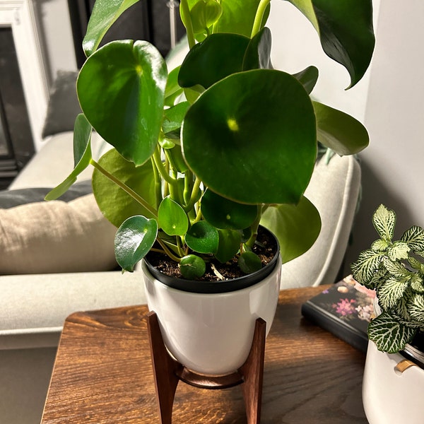 Modern White Ceramic and Canvas Wood Table Planters - Etsy