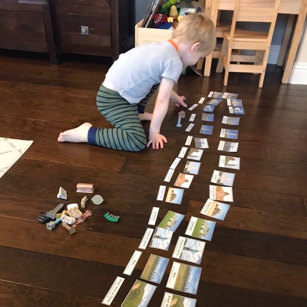 Backyard Birds Safari Toob - Montessori 3-part Cards PDF File ...