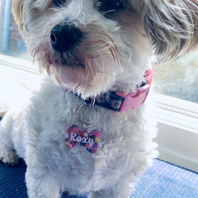 St. Patrick's Day Dog Grooming Bows Green Dog Hair Bows - Etsy