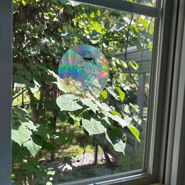 Great Lakes Jar | Sea Shells | Wildflowers | Crystals - Etsy