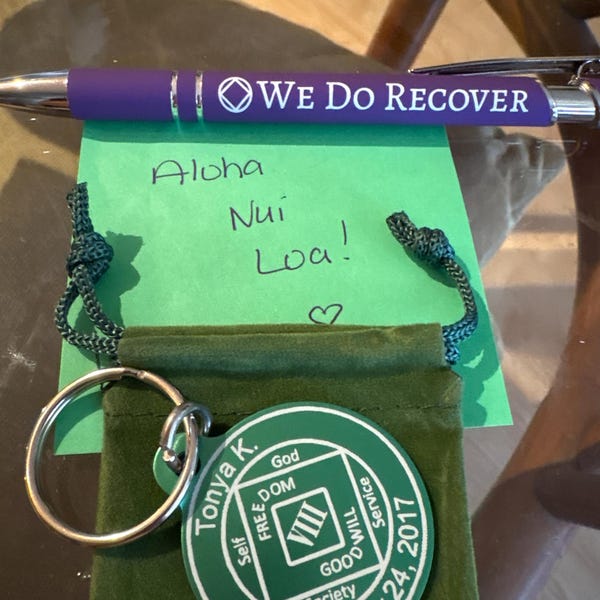 AA Circle & Triangle Vinyl Decal, Vehicle Lettering for Alcoholics ...