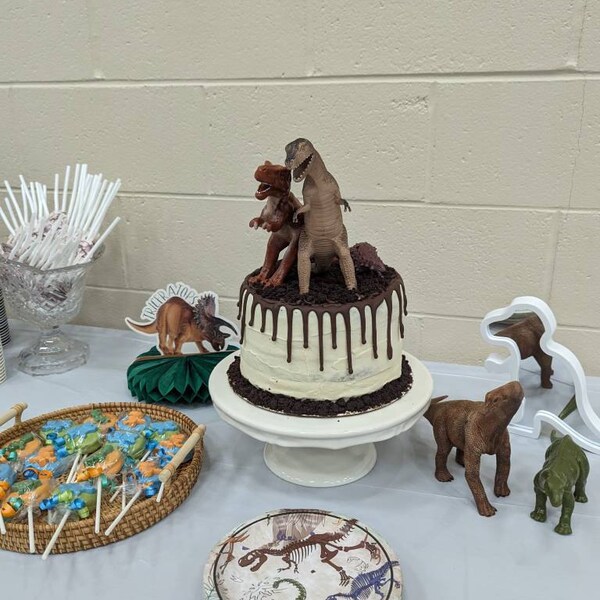 Dinosaur Oreo Cookie Pop / Dinosaur Birthday Party Favor / Chocolate ...