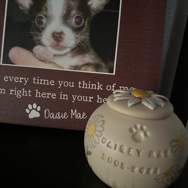 Daisy Cat Urn, Yellow Cat Urn, Creamation Urn, Pottery Urn for Pets ...