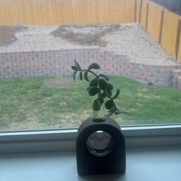 Rustic Live Edge Propagation Station - Etsy