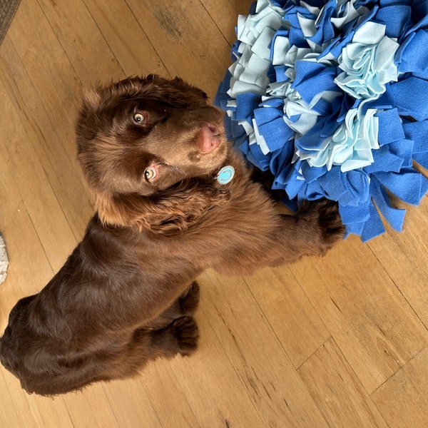 Nose-n-nibble Premium Snuffle Mat: Food Foraging Fun for Dogs, Cats ...