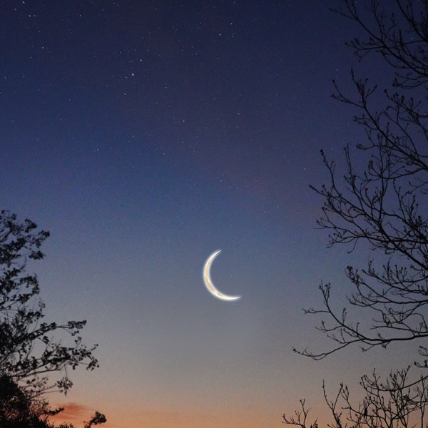 Photoshop Overlays, Starry Night Photo Overlays Package, Stars Moon Sky ...