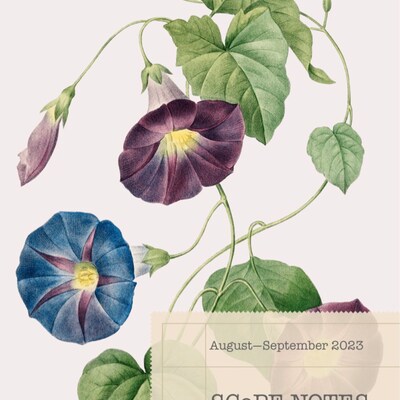 Dark Academia Digital Sticker Set, Vintage Style Mood Board Stickers ...