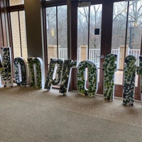 T-rex From Balloons, Tyrannosaurus Mosaic From Balloons, Dino Birthday ...