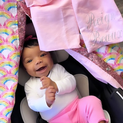 Minky Car Seat Liner Minky Car Seat Cover Minky Cover up Minky Liner ...