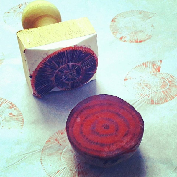 Ammonites Stamp, Seashell Stamp, Fossil Stamp, Wooden Stamp, Hand ...