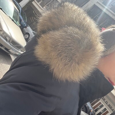 BY ORDER XXL Extra Large Finnish Raccoon Fur Collar Fur Trim - Etsy