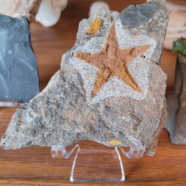 Aura Opal Core for Meditation and Aura Cleansing - Etsy