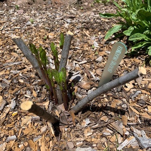 3 Generation Modern Family Tree Sign / Genealogy Wall Art / | Etsy