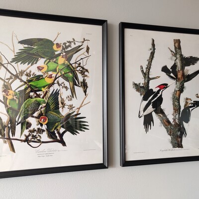 Nautical Knots Poster, Old Boating and Sailing Knot Chart, Premium ...