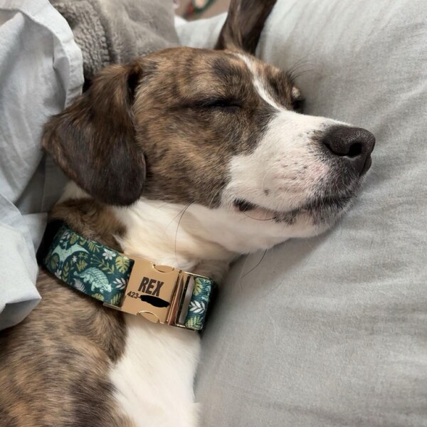 Daisy Dog Tag, Floral Dog Tag Personalized, Flower Pet Tag, Custom Dog ...