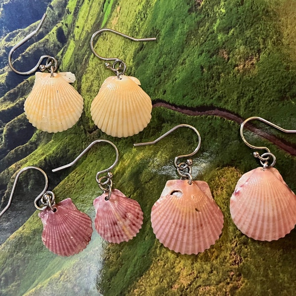 Seashell Dog, Florida Seashell Art, Natural and Genuine Seashell ...