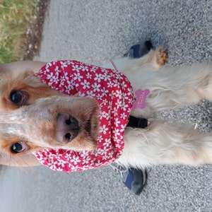 Waterproof Thick Dog Snood Swimming Cap for Dog Dog Hat - Etsy