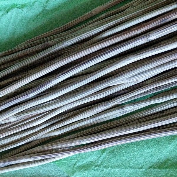 Elder Wand,dried Elder Branch,elder Twig,branch Black Elder,wood Decor ...