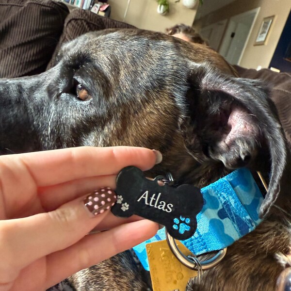 Cute Dog Tag Personalized for Dog, Custom Bone Dog Tags, Dog Name Tags ...