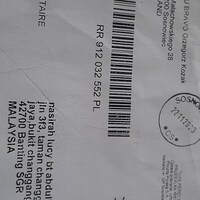 Pinus Roxburghii Chir Pine Pinus Longifolia 5 Seeds - Etsy Canada